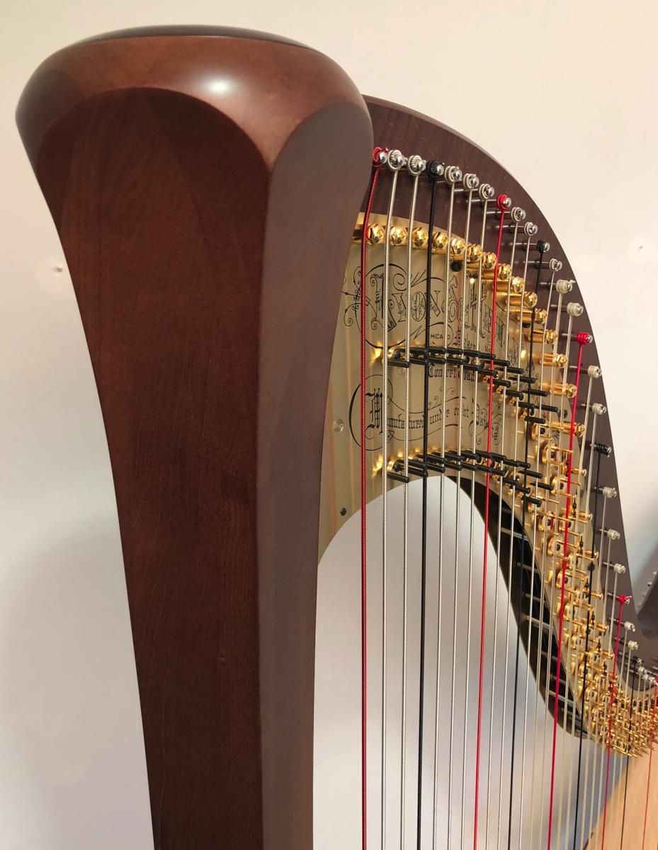 Style 30 Pedal Harp - Walnut - 21832 - In Stock