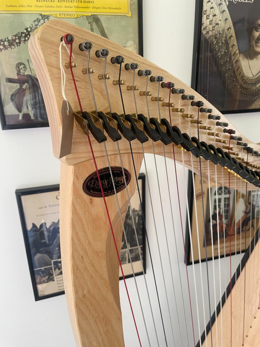 Dusty Strings Ravenna 34 - 2022