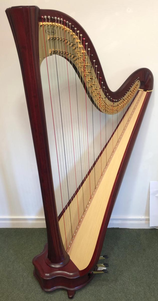 Salvi Daphne 47 EX Walnut - In Stock