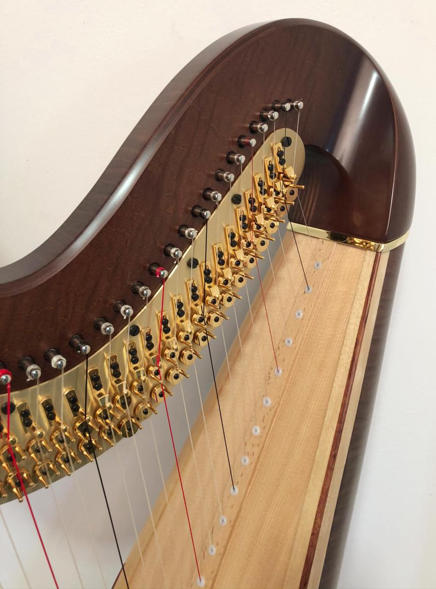 Style 30 Pedal Harp - Walnut - 21832 - In Stock