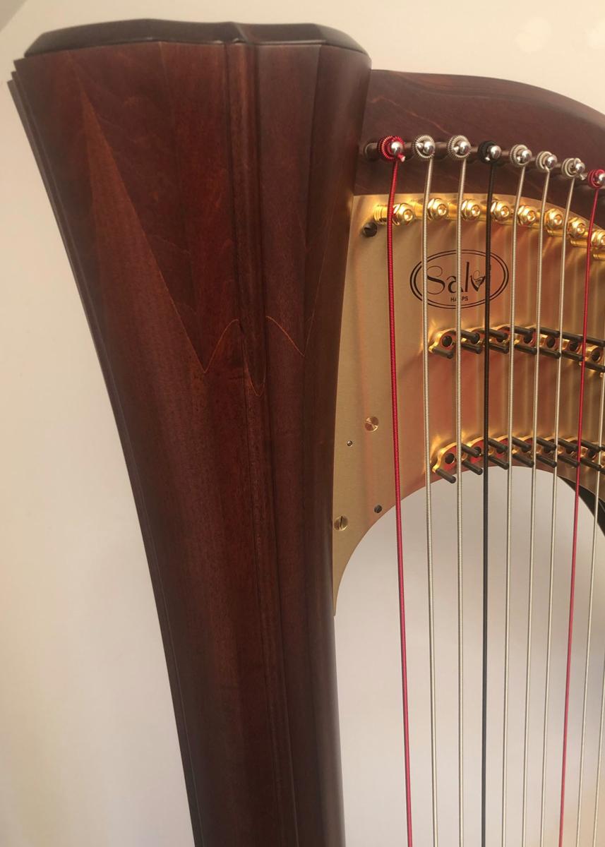 Salvi Daphne 47 SE Pedal Harp: Walnut - in Stock