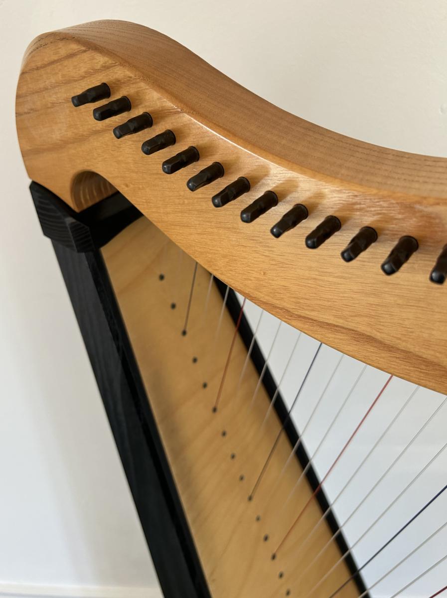 Dusty Strings Ravenna 34 Harp Rental - Initial Payment