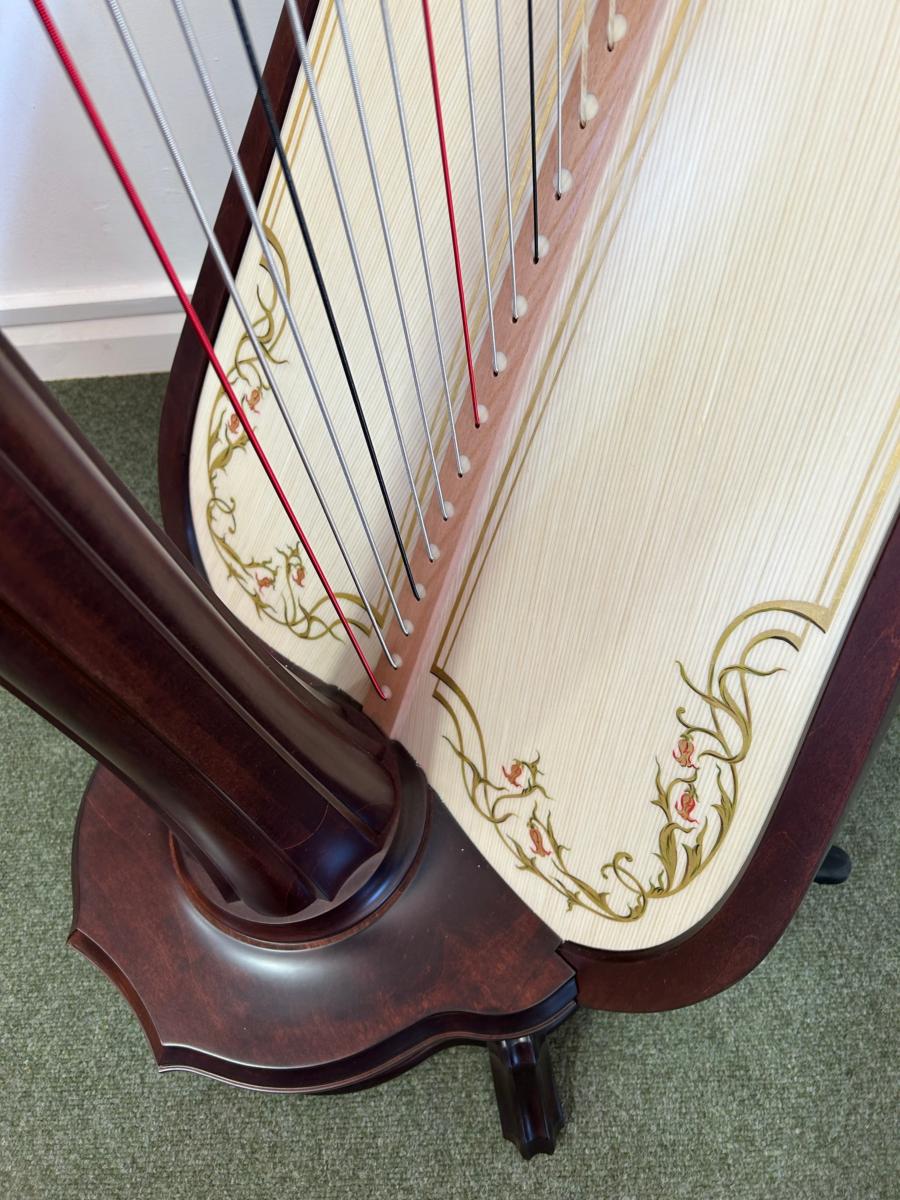Salvi Aurora 47 Pedal Harp: Walnut Decorated - in Stock P23374