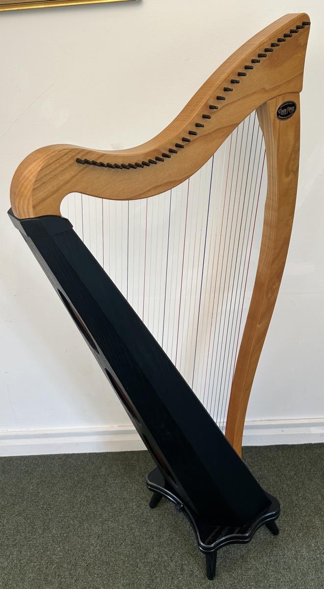 Dusty Strings Ravenna 34 Harp Rental - Initial Payment