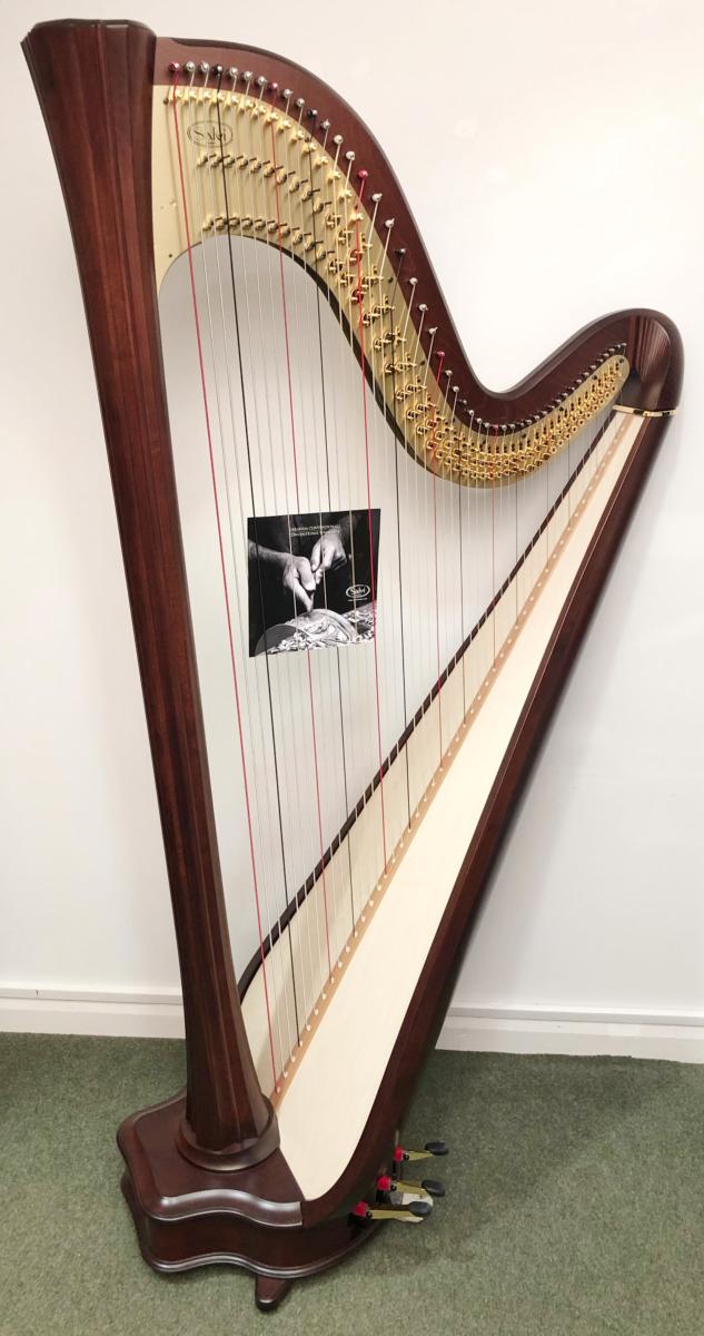 Salvi Daphne 47 EX Walnut - In Stock