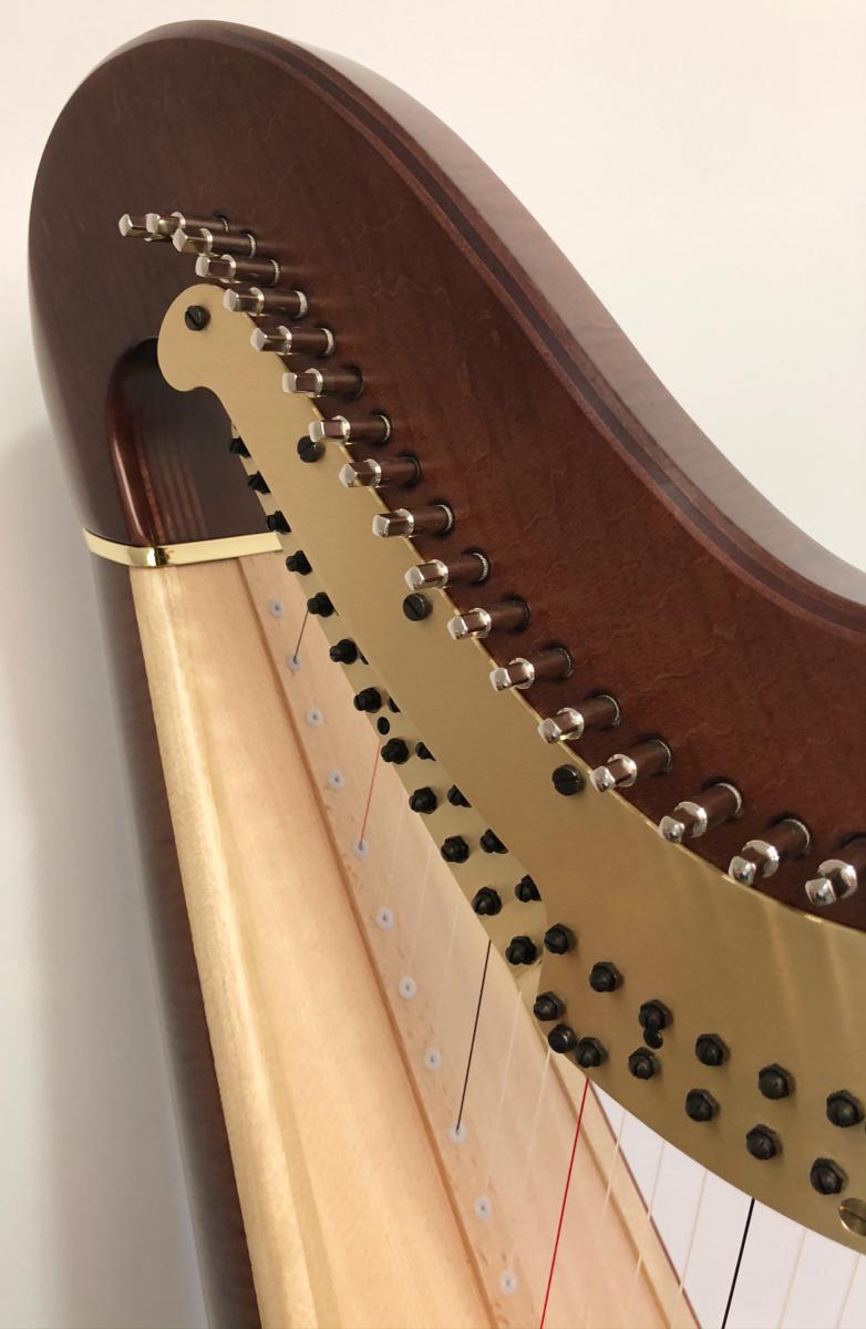 Style 30 Pedal Harp - Walnut - 21832 - In Stock