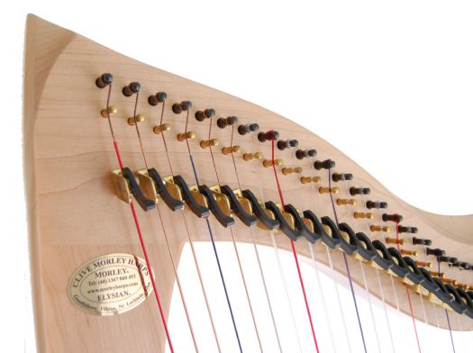 Dusty Strings FH 36 H Lever Harp in Maple Camac Levers