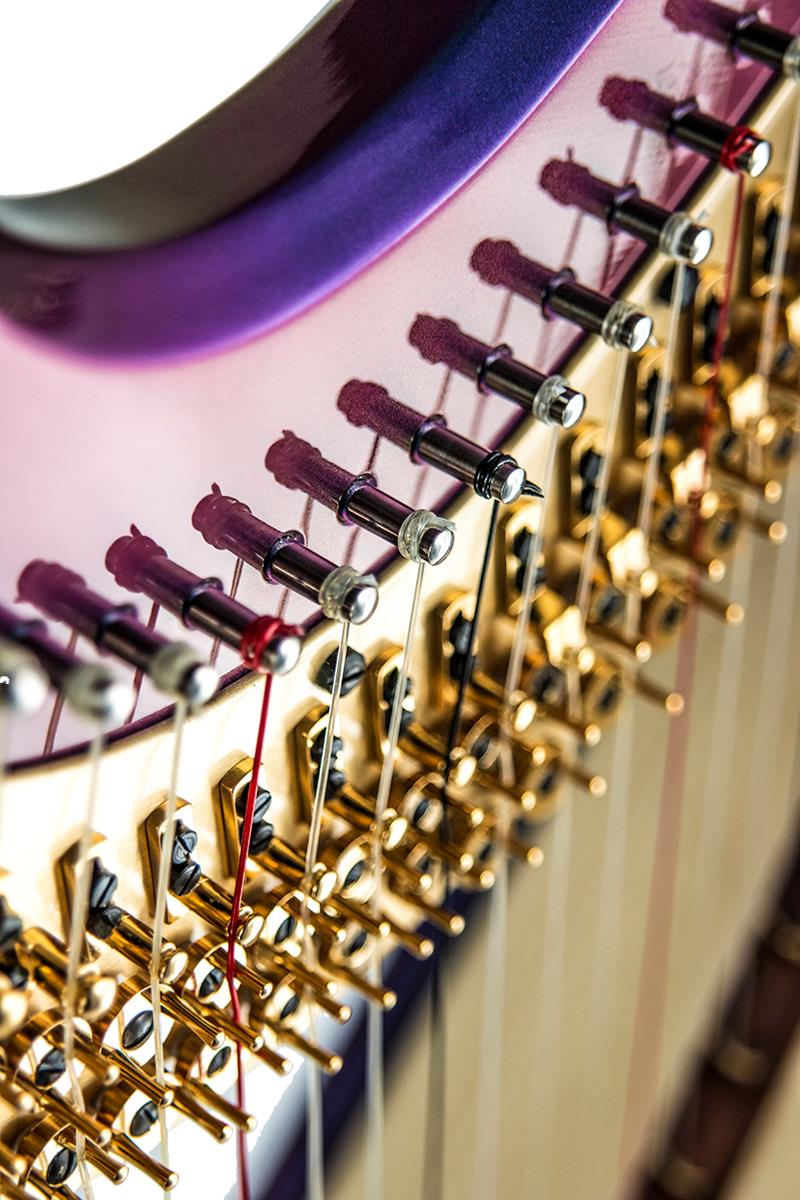 Rainbow 40 Electro Acoustic Pedal Harp